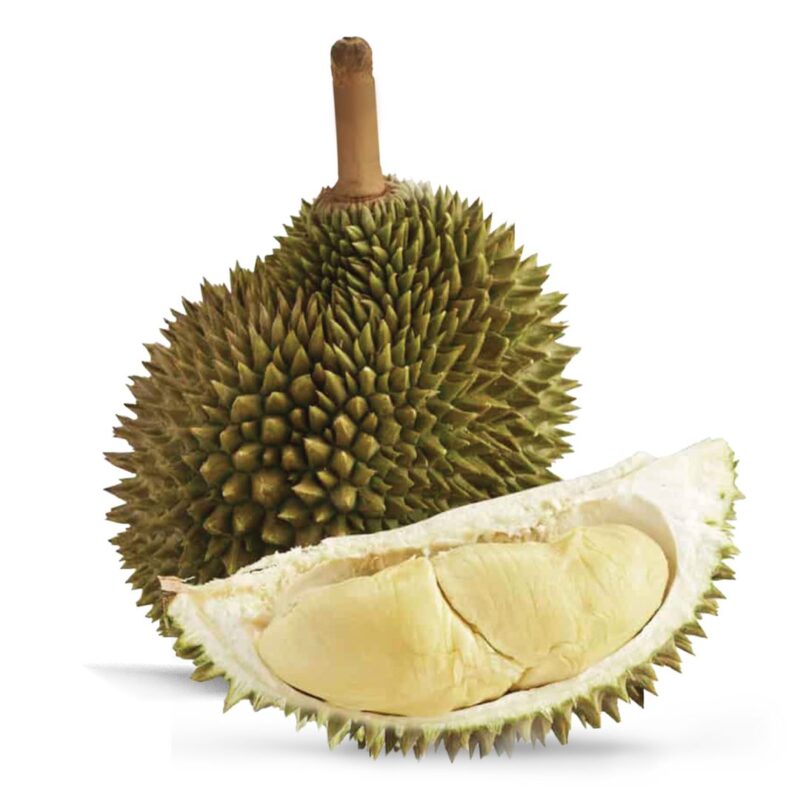 Durian Info - Dking