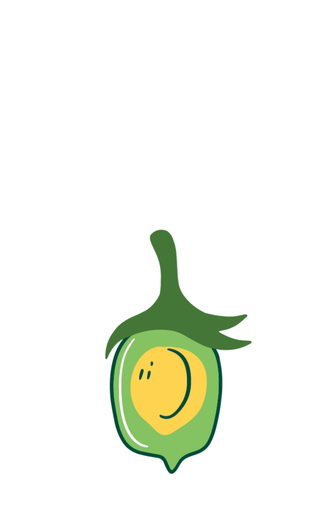 Discover Durian Types and Variety Available in Malaysia