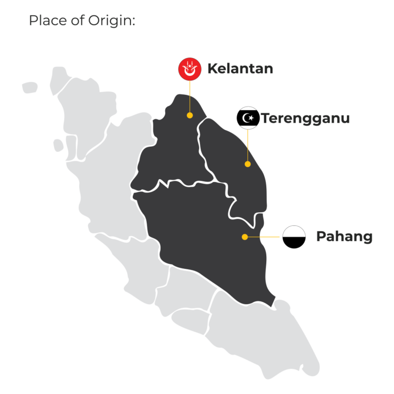 Discover Durian Types and Variety Available in Malaysia