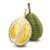 Buy Musang King Durian Online at Best Prices in Malaysia | Dking